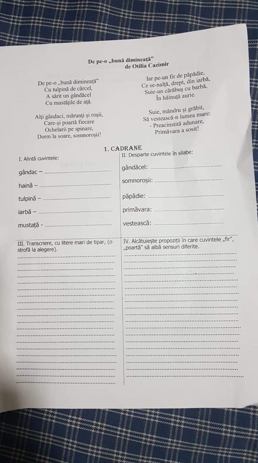 Găsește intrusul cu Razvan! - KIDIBOT Knowledge Battles