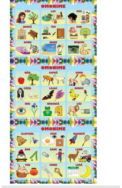 Omonime - KIDIBOT Knowledge Battles